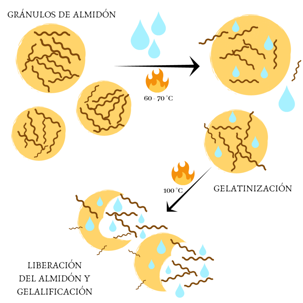 ¿Qué es el chuño? | Gluten Freak